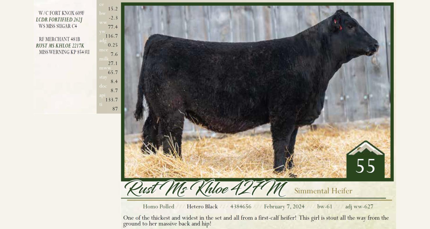 Lot 55: Rust Mountain View Ranch - Annual Production Sale | DVAuction