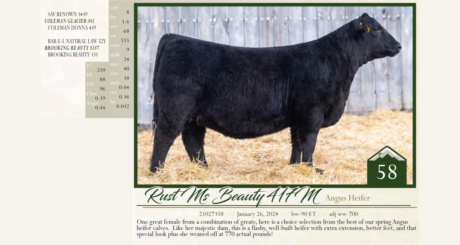 Lot 58: Rust Mountain View Ranch - Annual Production Sale | DVAuction