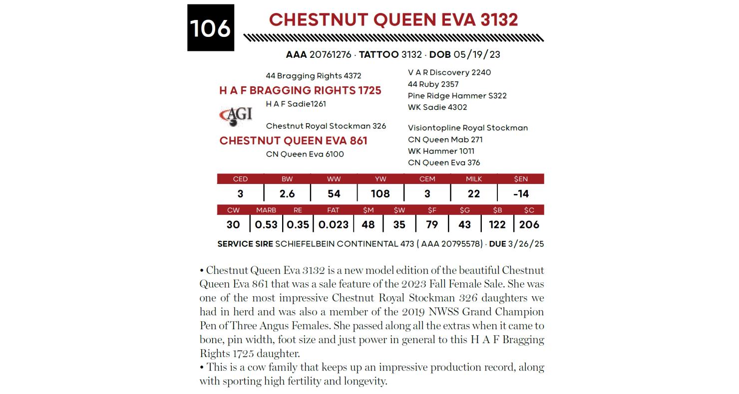 Lot 106: Chestnut Angus - Annual Angus Bull Sale | DVAuction