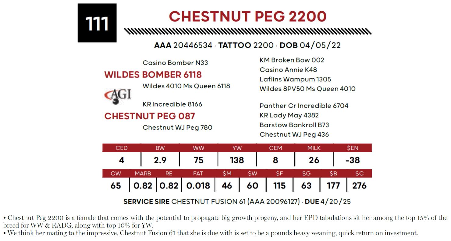 Lot 111: Chestnut Angus - Annual Angus Bull Sale | DVAuction