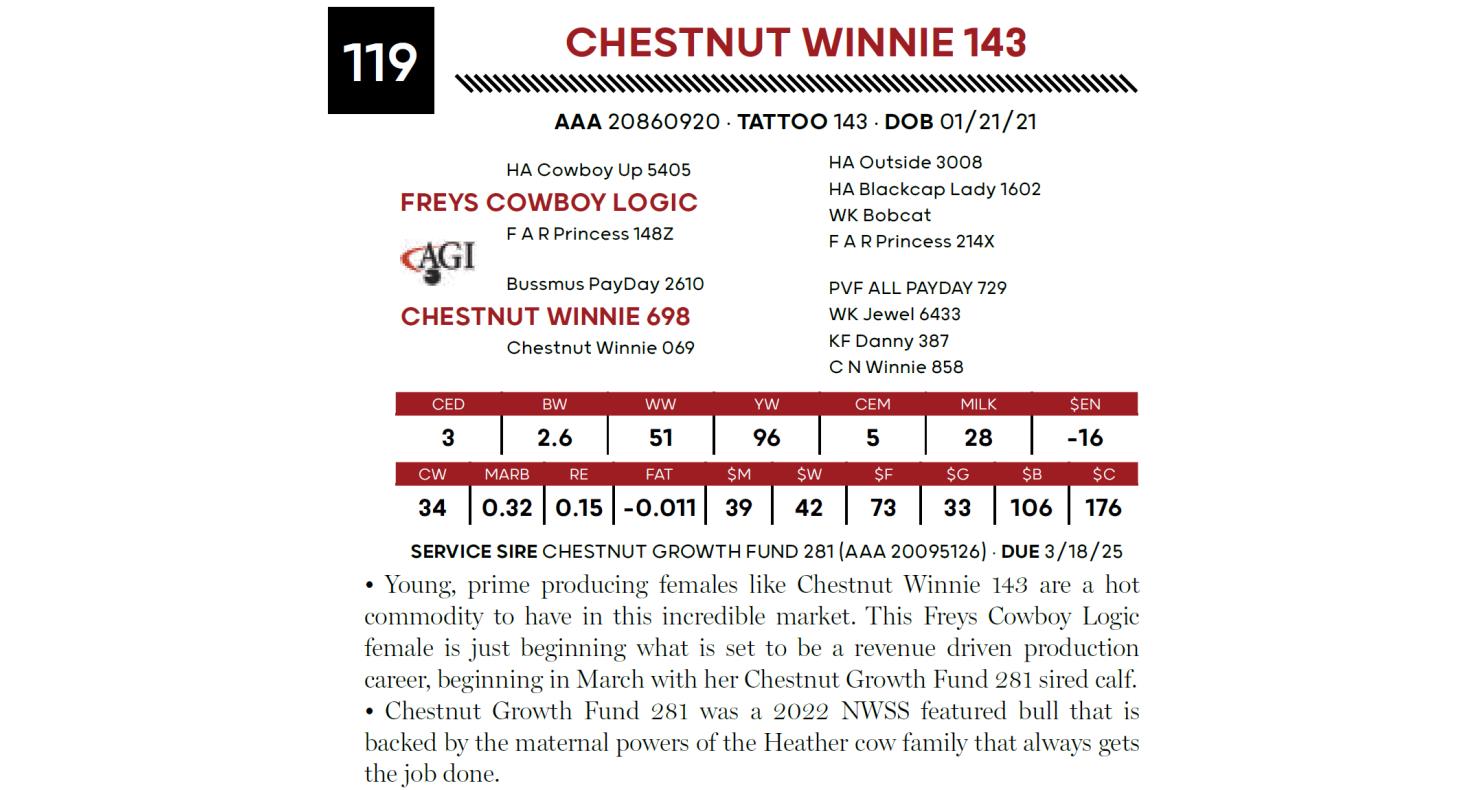 Lot 119: Chestnut Angus - Annual Angus Bull Sale | DVAuction