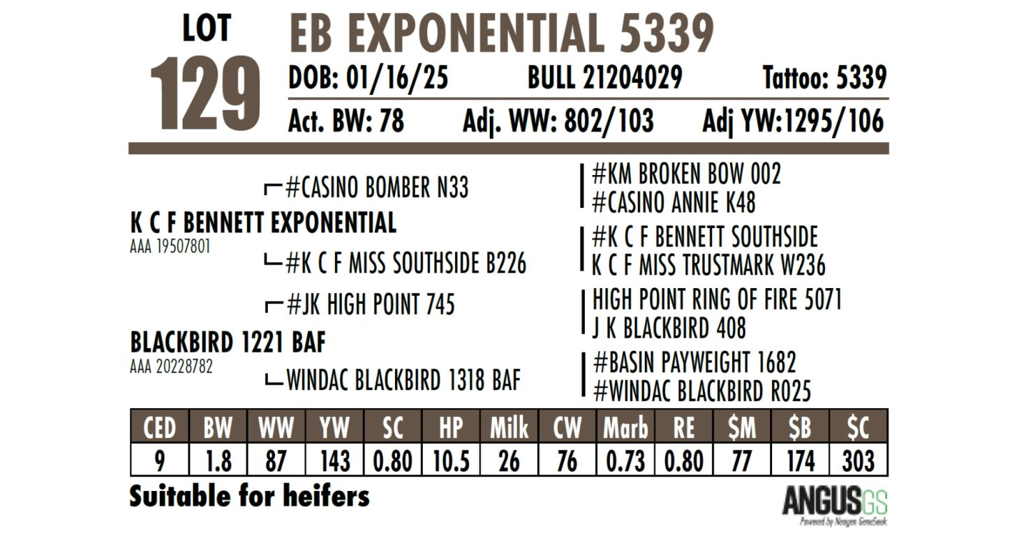 Lot 129: Edgar Brothers - 48th Annual Angus Bull & Female Sale | DVAuction
