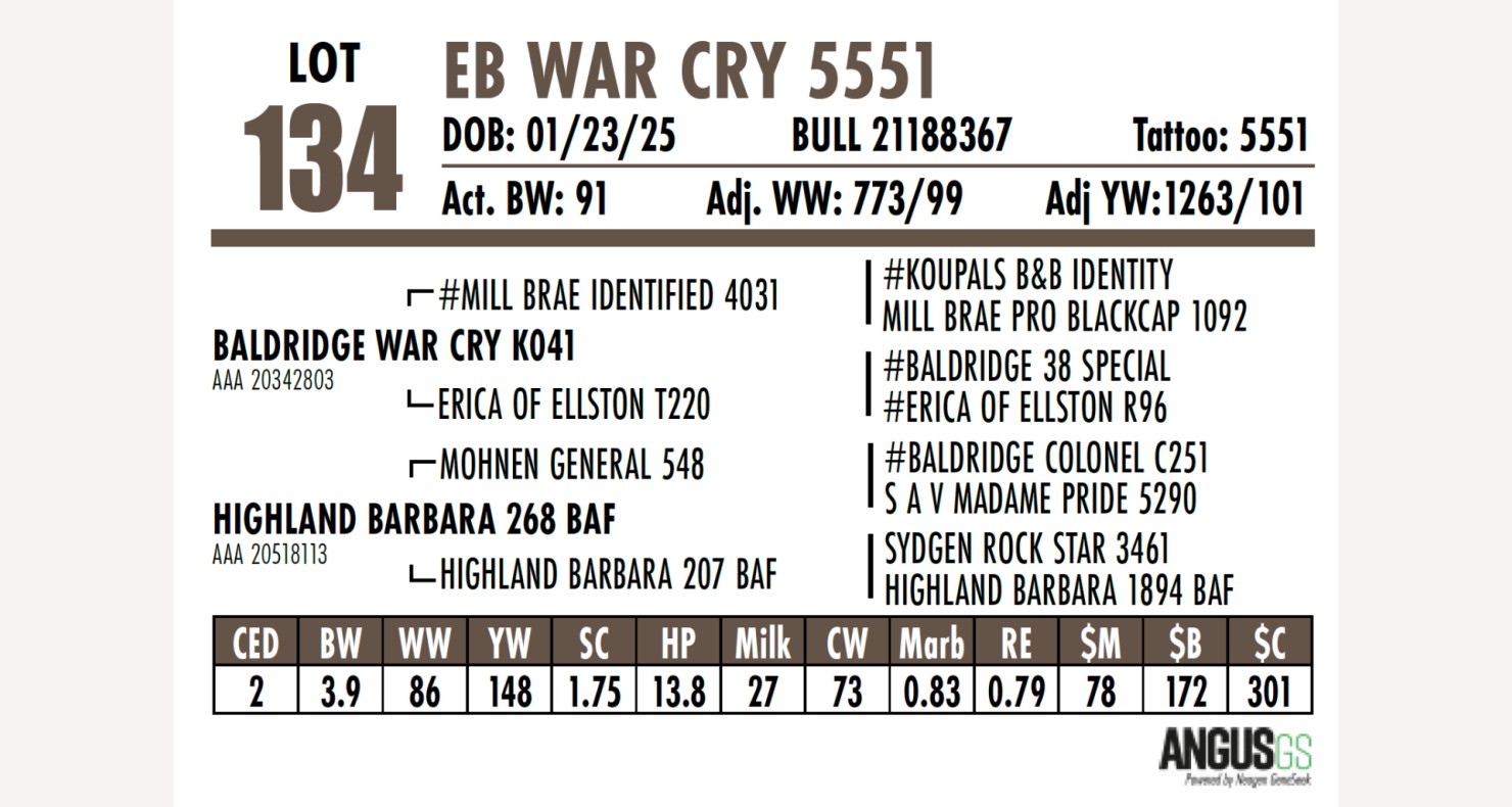 Lot 134: Edgar Brothers - 48th Annual Angus Bull & Female Sale | DVAuction