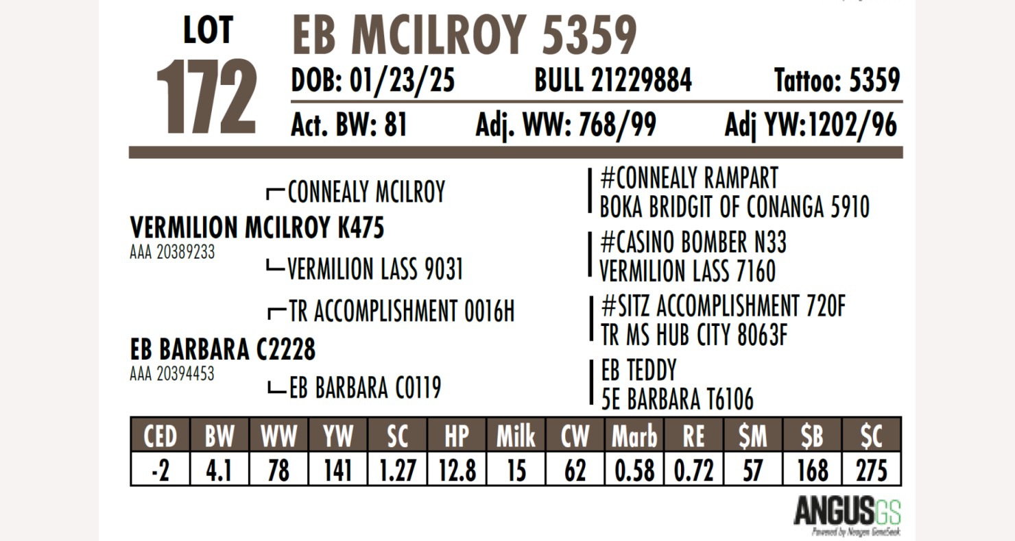 Lot 172: Edgar Brothers - 48th Annual Angus Bull & Female Sale | DVAuction