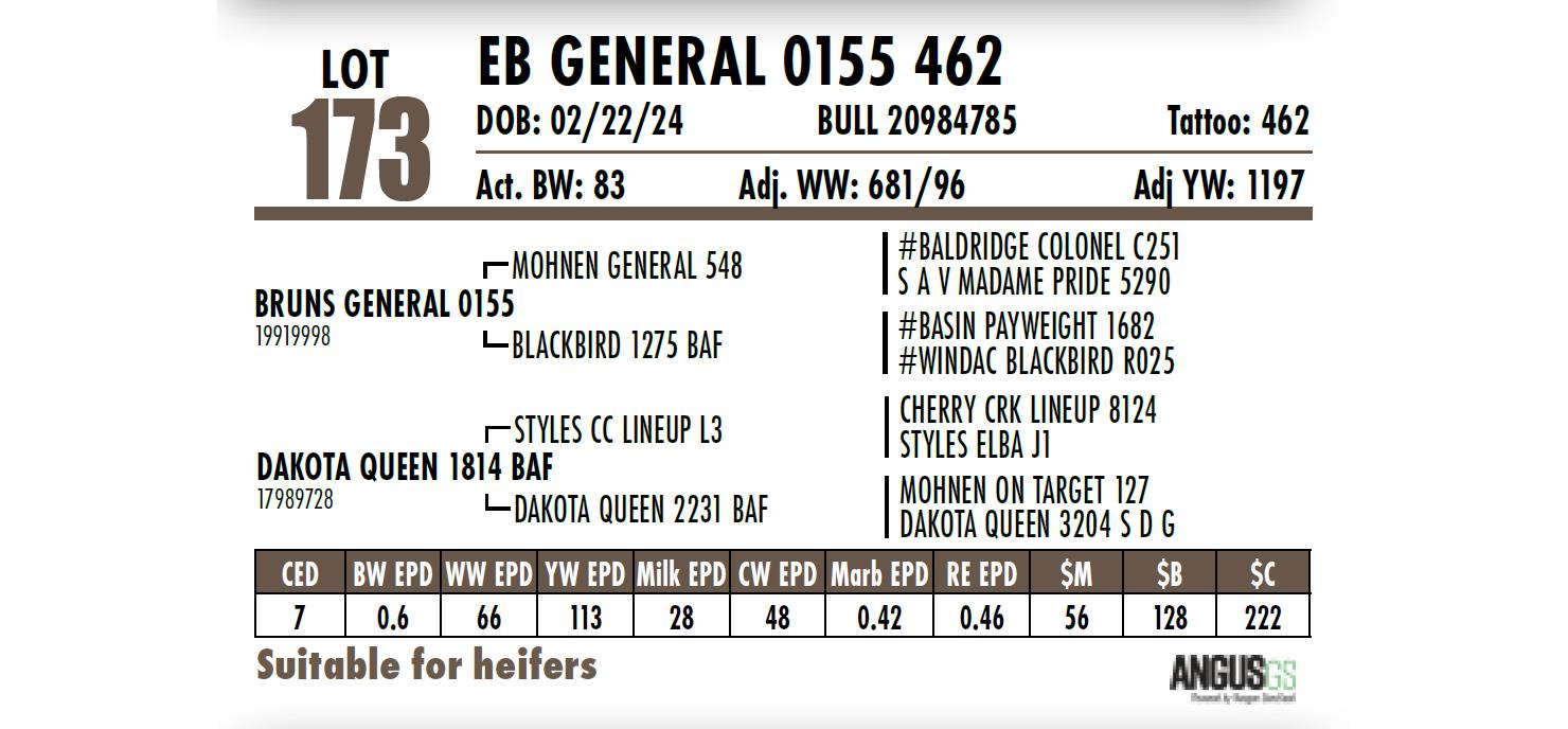 Lot 173: Edgar Brothers - 47th Annual Angus Bull & Female Sale | DVAuction