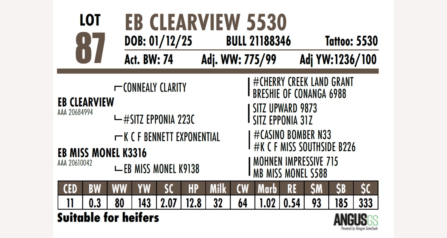 Lot 87: Edgar Brothers - 48th Annual Angus Bull & Female Sale | DVAuction
