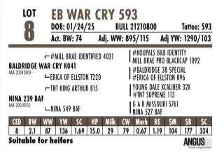 Lot 8: Edgar Brothers - 48th Annual Angus Bull & Female Sale | DVAuction