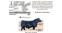 Lot 3: Edgar Brothers - 48th Annual Angus Bull & Female Sale | DVAuction