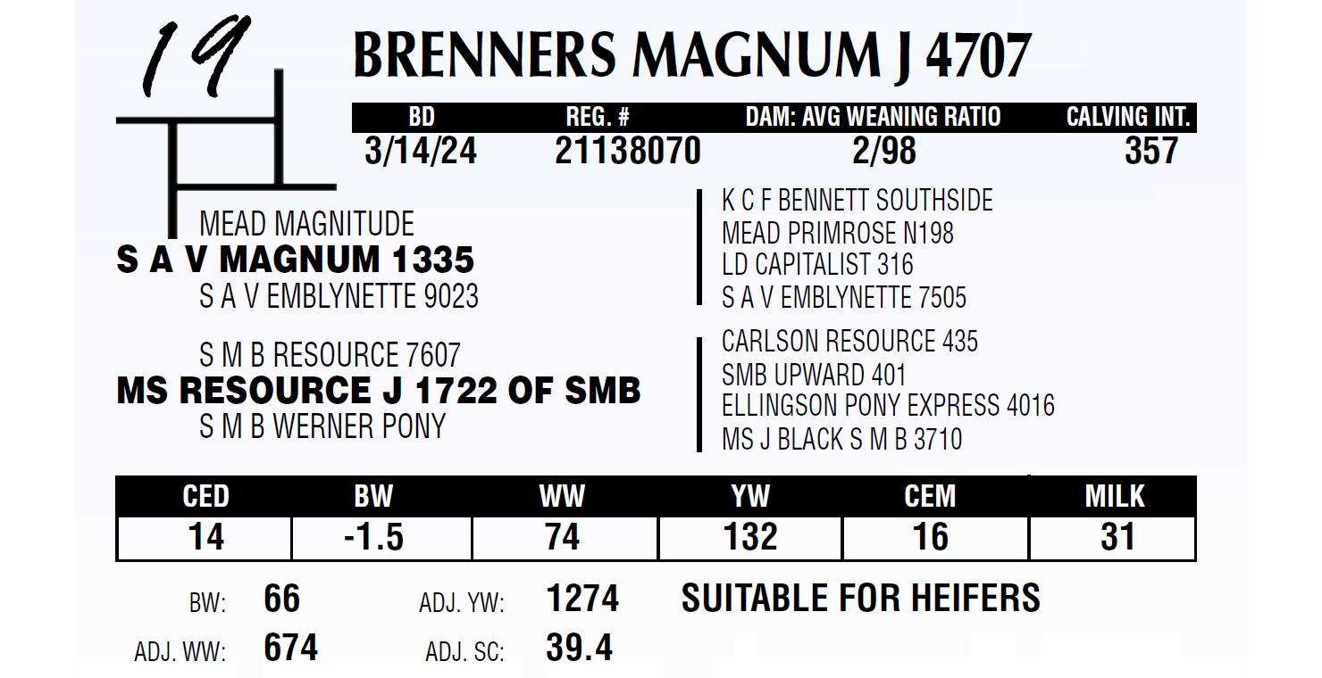 Lot 19: Brenner Angus - Annual Production Sale | DVAuction
