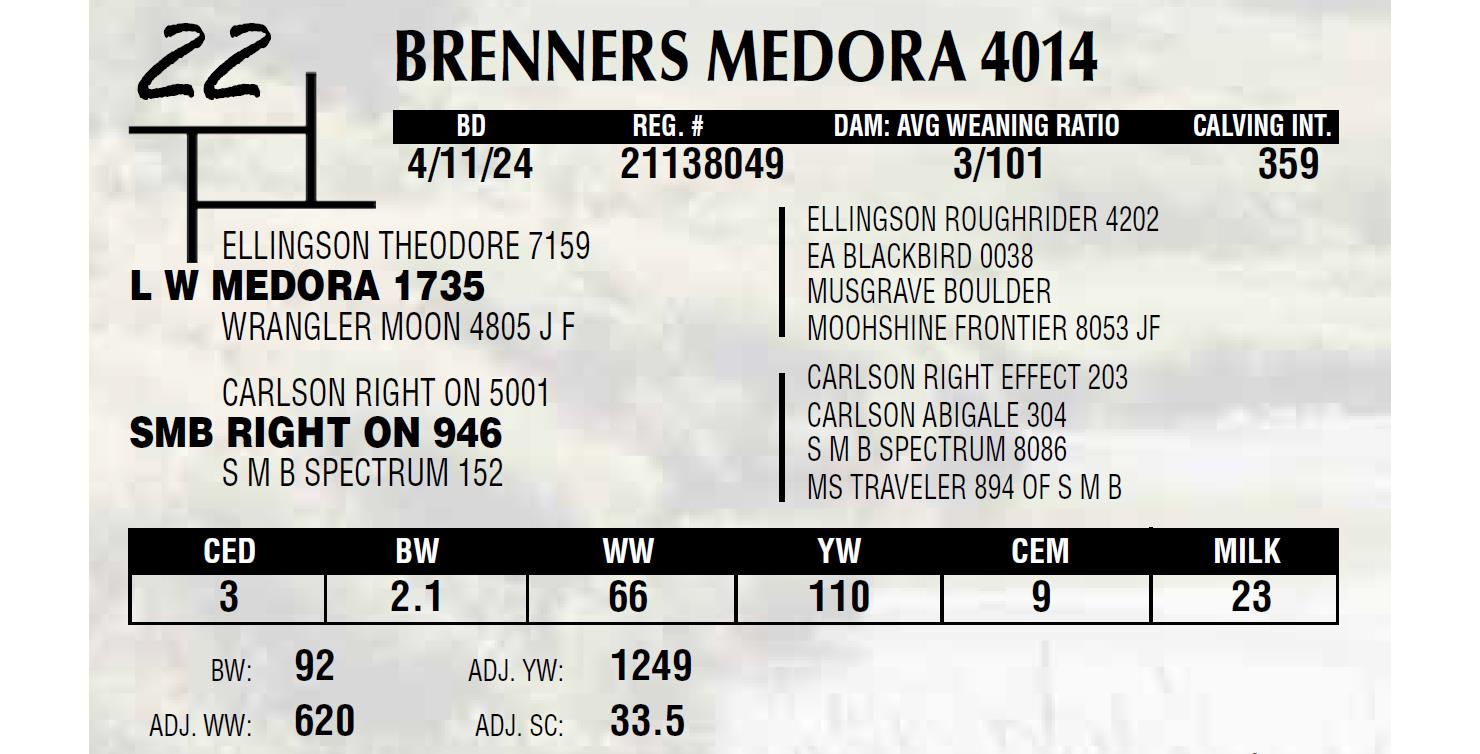 Lot 22: Brenner Angus - Annual Production Sale | DVAuction