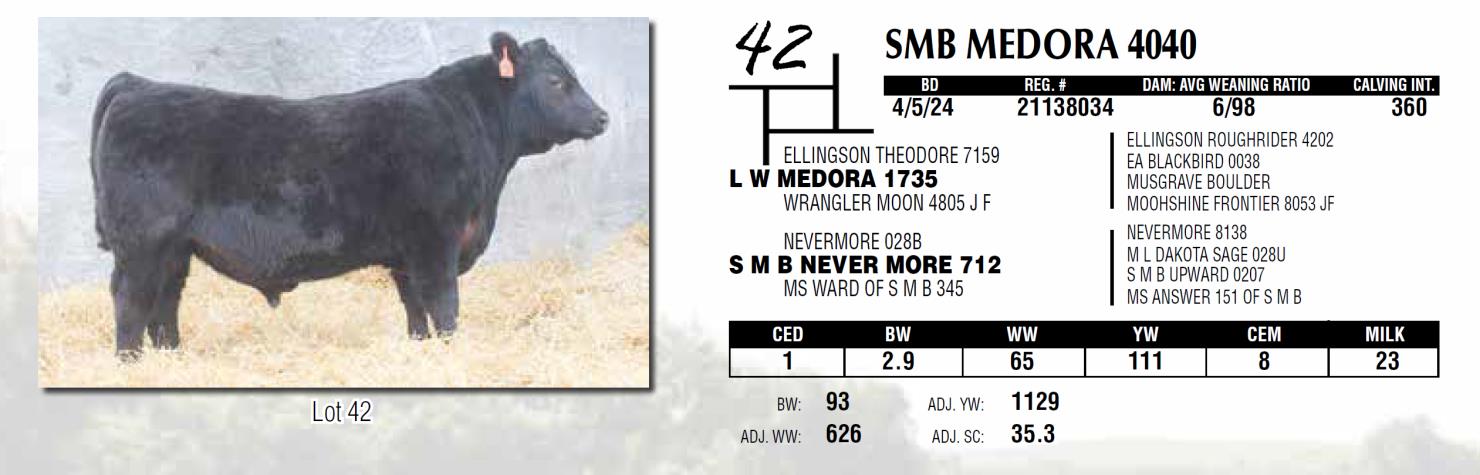 Lot 42: Brenner Angus - Annual Production Sale | DVAuction