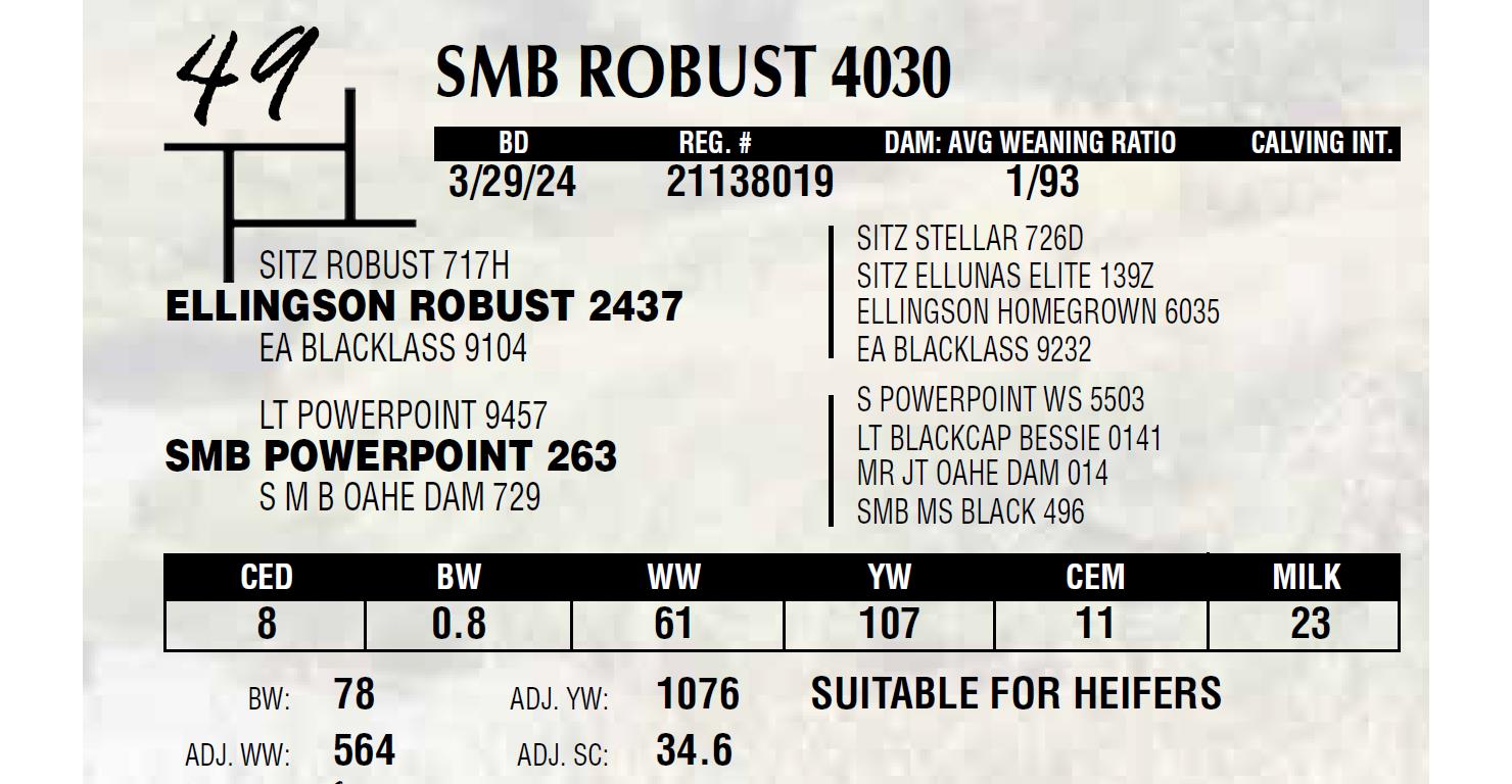 Lot 49: Brenner Angus - Annual Production Sale | DVAuction