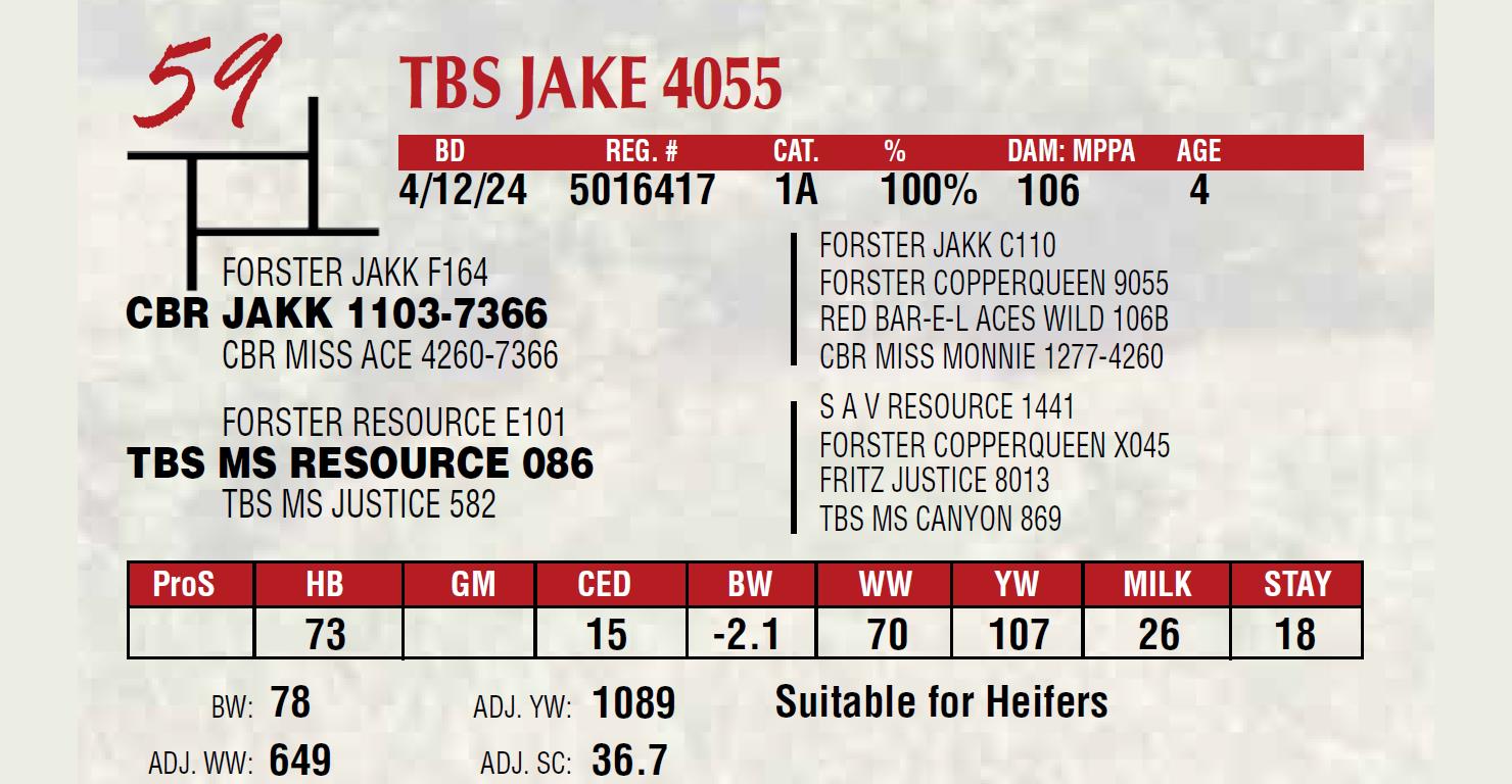 Lot 59: Brenner Angus - Annual Production Sale | DVAuction