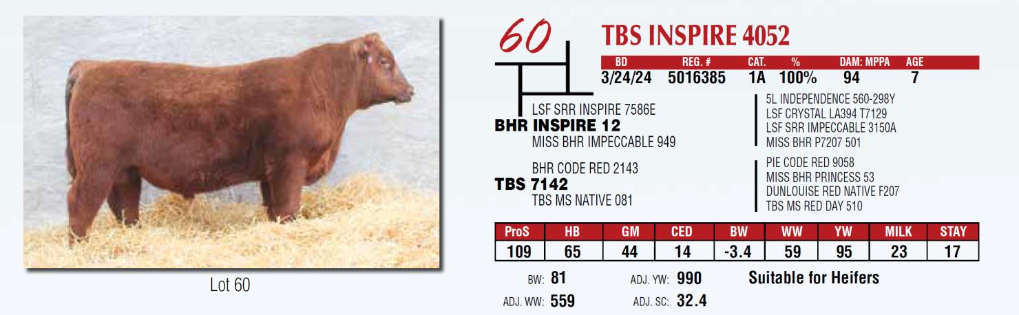 Lot 60: Brenner Angus - Annual Production Sale | DVAuction