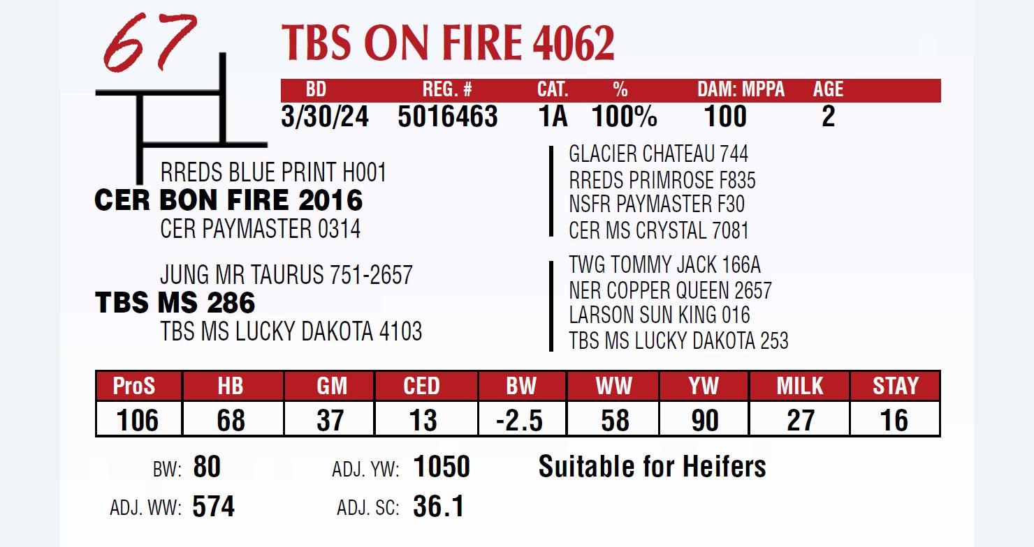 Lot 67: Brenner Angus - Annual Production Sale | DVAuction