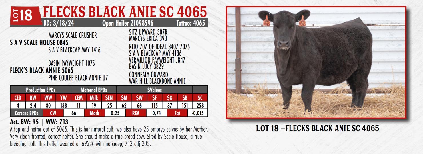 Lot 18: North Dakota Angus Association Select Sale - ND Select Angus ...