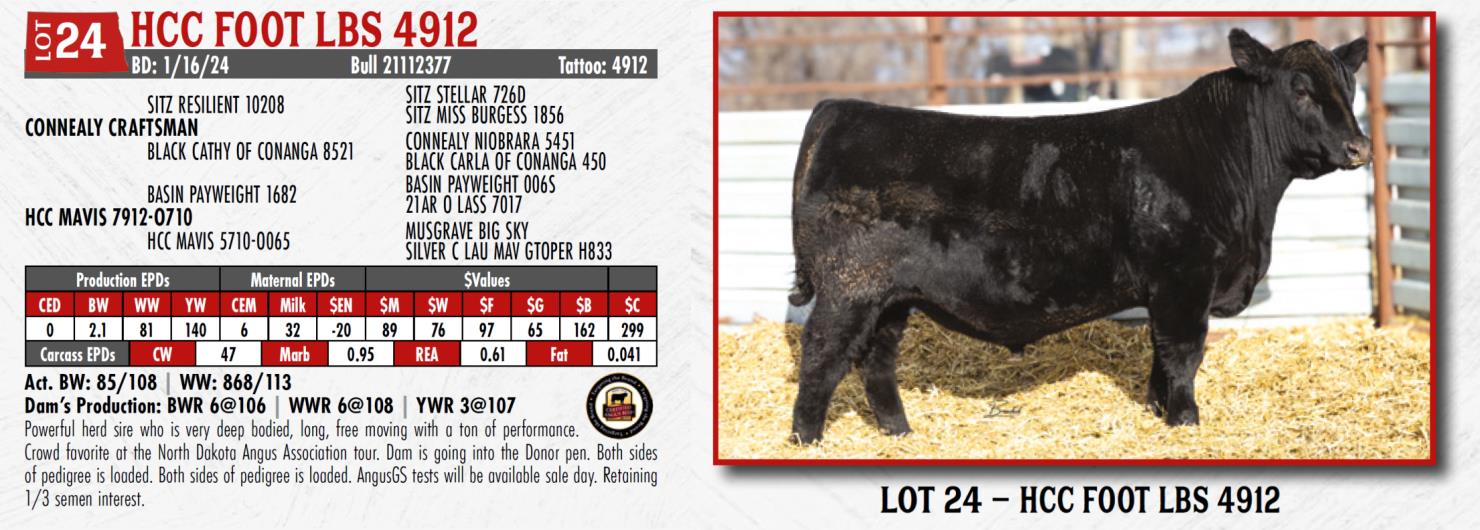 Lot 24: North Dakota Angus Association Select Sale - ND Select Angus ...