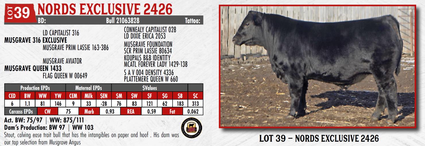 Lot 39: North Dakota Angus Association Select Sale - ND Select Angus ...