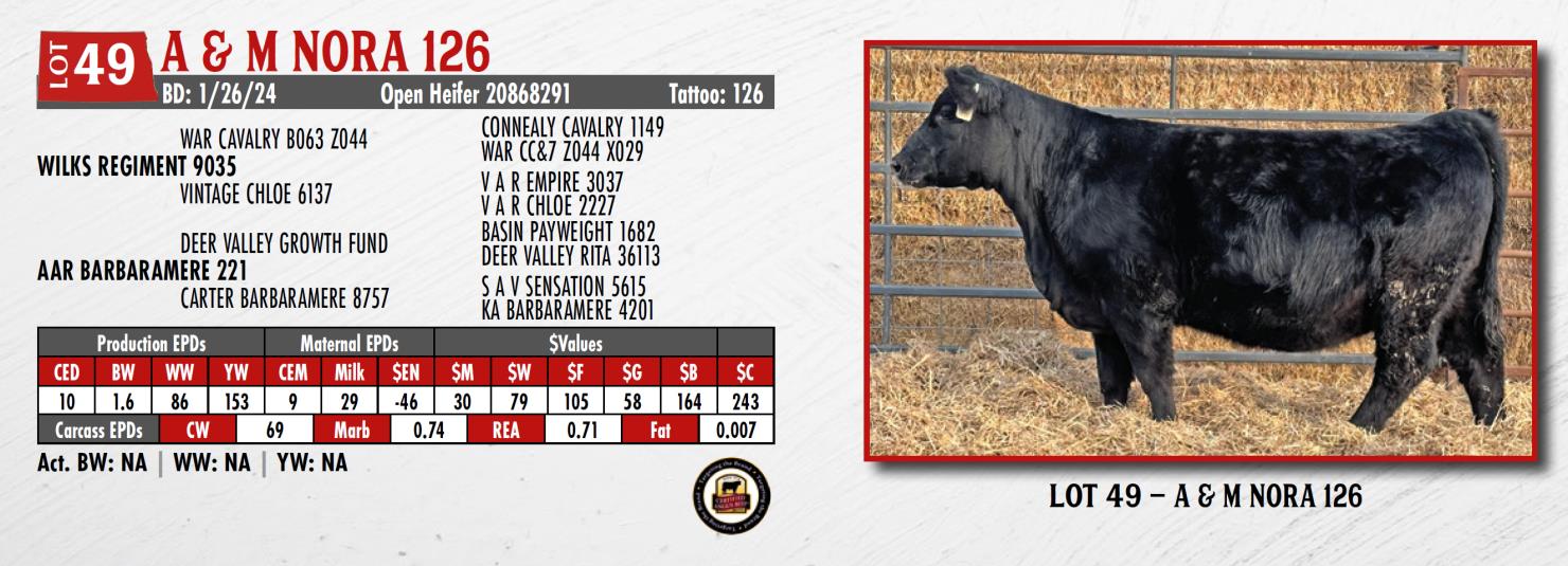 Lot 49: North Dakota Angus Association Select Sale - ND Select Angus ...