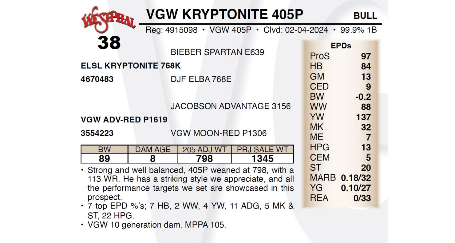 Lot 38: Westphal Red Angus - Annual Production Sale | DVAuction