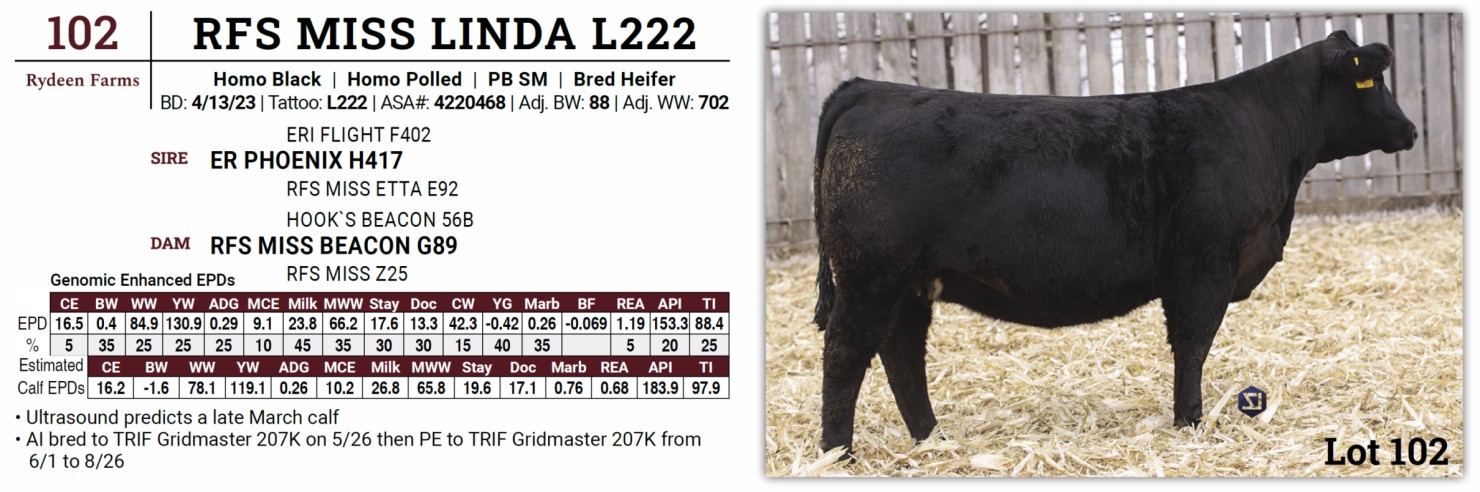 Lot 102: Rydeen Farms - 27th Annual Genetics With Vision Simmental & SimAngus Bull and Female ...