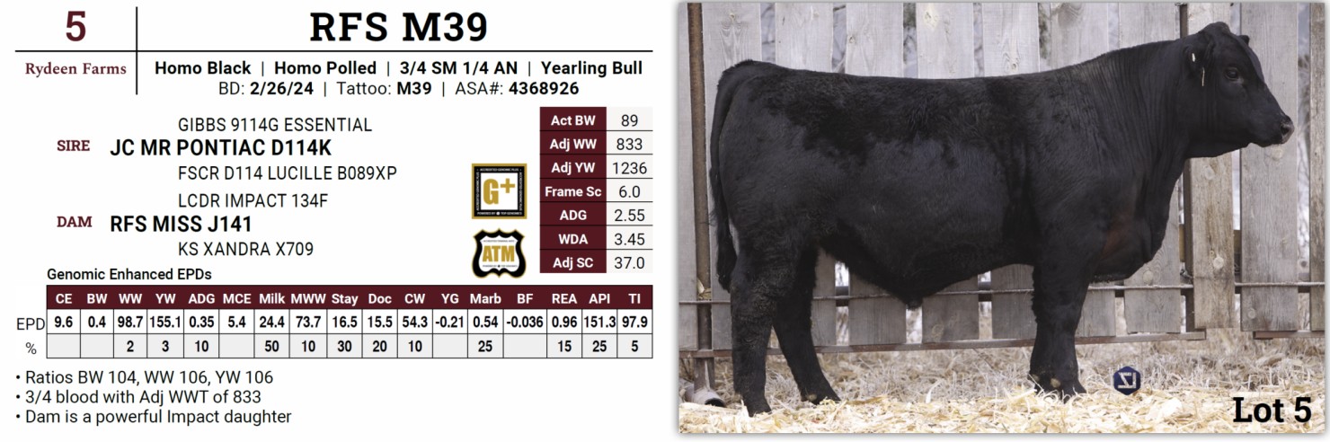 Lot 5: Rydeen Farms - 27th Annual Genetics With Vision Simmental & SimAngus Bull and Female Sale ...