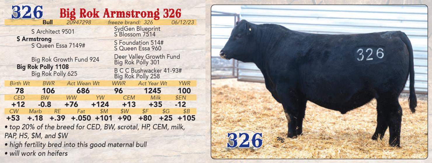 Lot 326: Big Rok Angus - Performance Tested Angus Bull & Select Female ...
