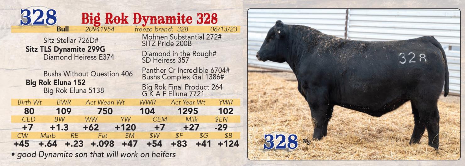 Lot 328: Big Rok Angus - Performance Tested Angus Bull & Select Female ...
