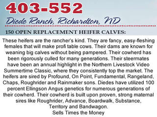 Lot diede1: Ellingson Angus - Annual Angus Bull & Female Sale | DVAuction