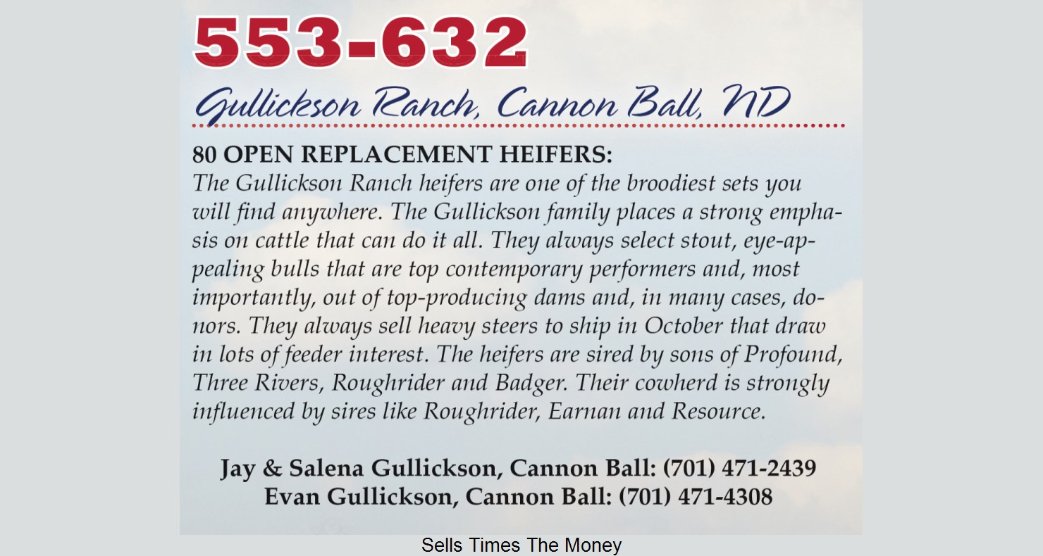gullickson: Ellingson Angus "Real-World Genetics" Bull & Female Sale ...