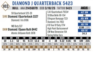 Lot 103: Diamond J Angus Ranch - Annual Angus Bull Sale | DVAuction