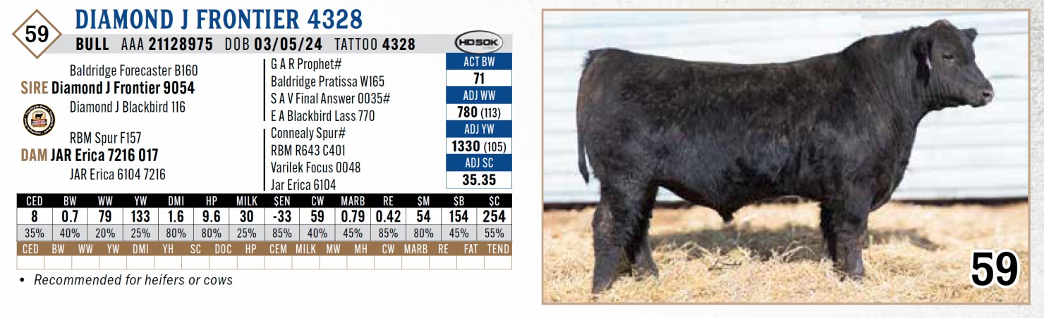 Lot 59: Hatzenbuhler Diamond J Angus Ranch - Annual Angus Bull Sale ...
