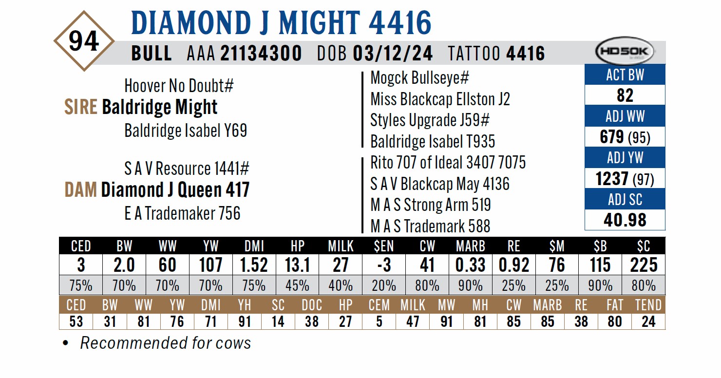 Lot 94: Hatzenbuhler Diamond J Angus Ranch - Annual Angus Bull Sale ...