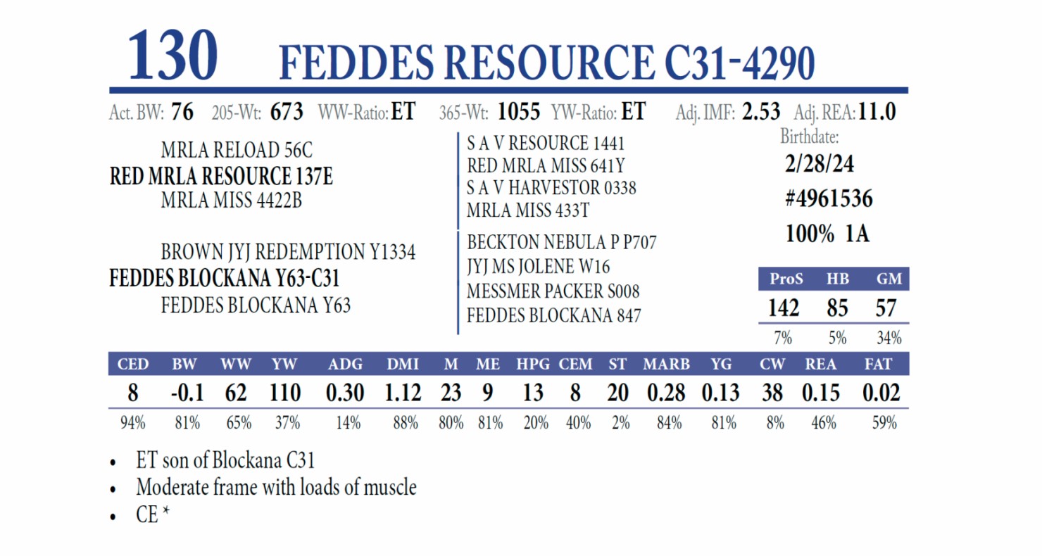 Lot 130: Feddes Red Angus/C-T Red Angus - Annual Bull Sale | DVAuction