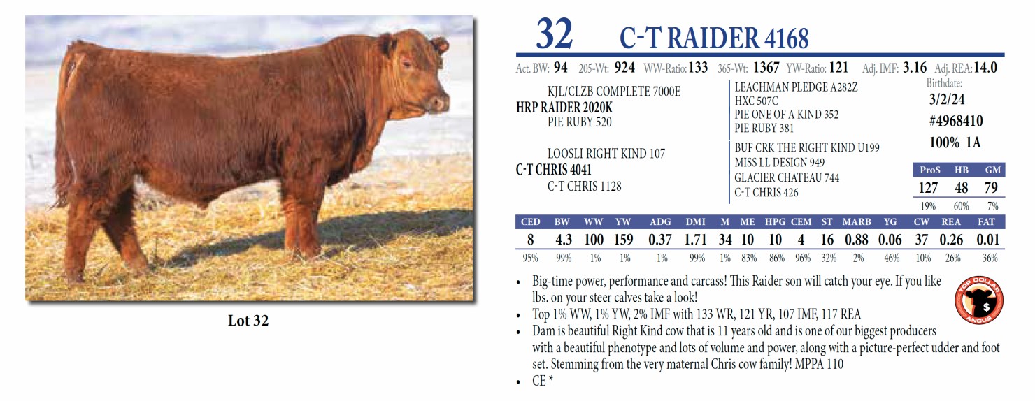 Lot 32: Feddes Red Angus/C-T Red Angus - Annual Bull Sale | DVAuction