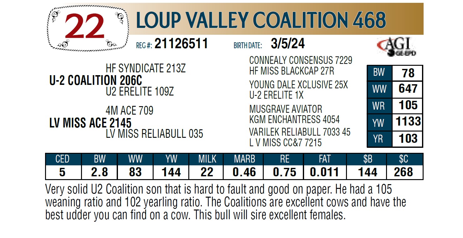 Lot 22: Carl Dethlefs & Sons Angus - Carl Dethlef & Sons Angus Bull ...