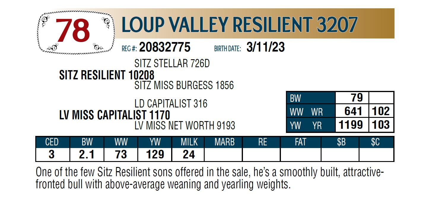 Lot 78: Carl Dethlefs & Sons Angus - Carl Dethlefs & Sons Bull Sale ...