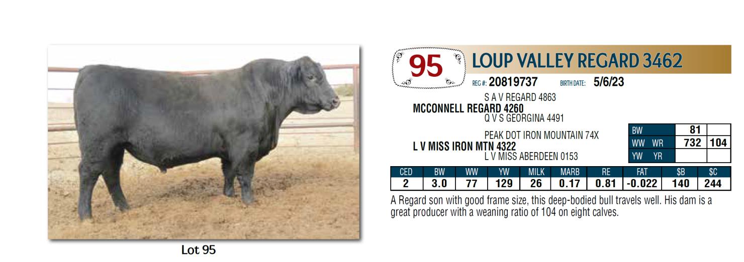 Lot 95: Carl Dethlefs & Sons Angus - Carl Dethlefs & Sons Bull Sale ...