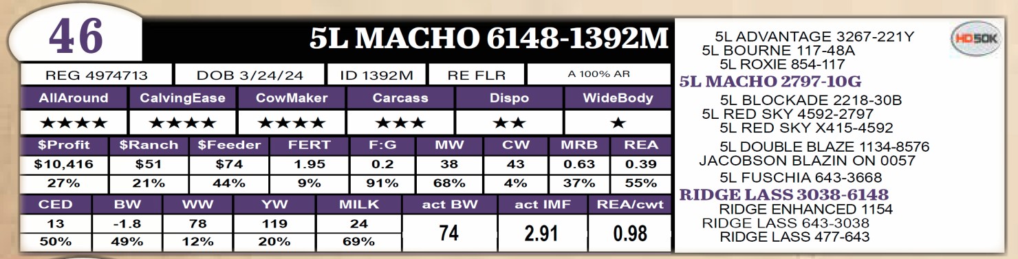 Lot 46: 5L Red Angus - Annual Spring Bull Sale | DVAuction