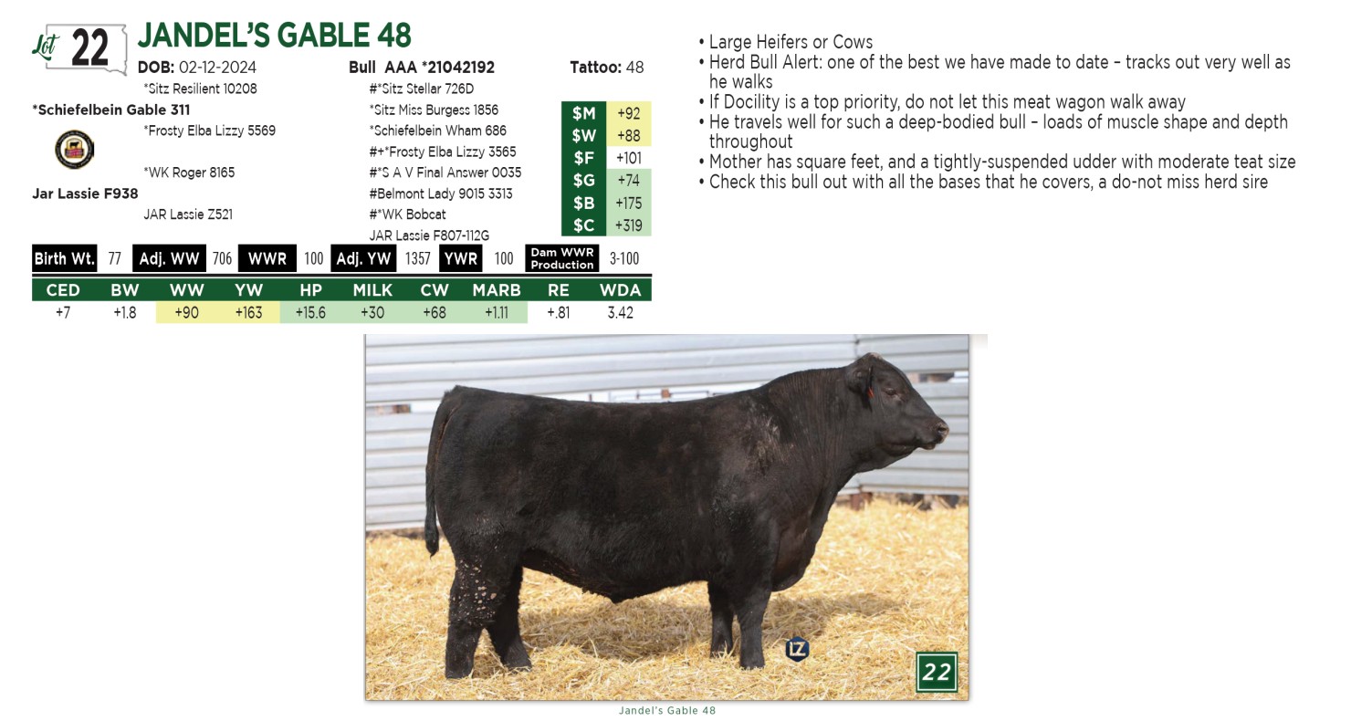Lot 22: Baxter and Jandel Angus Ranch - Back to the Basics Angus Bull ...