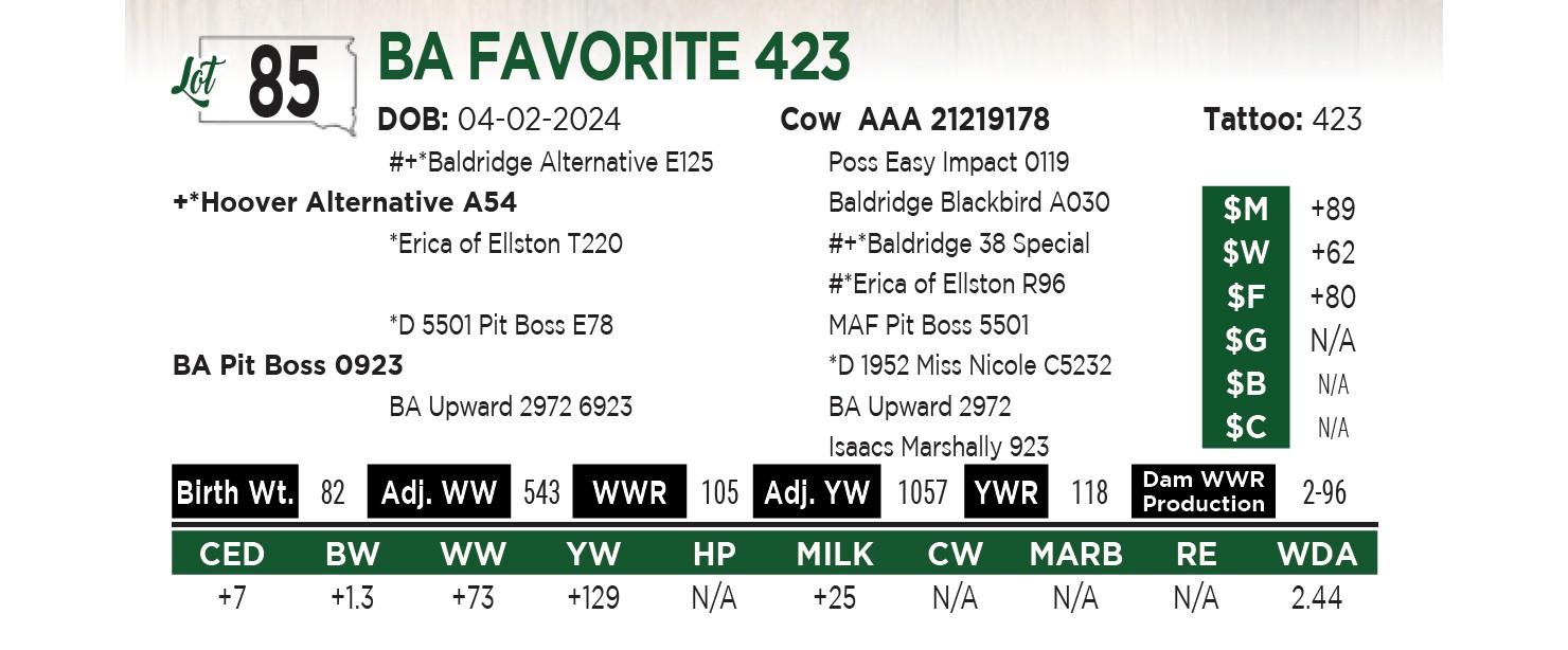 Lot 85: Baxter and Jandel Angus Ranch - Back to the Basics Angus Bull ...