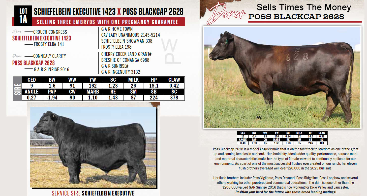 Lot 1a: Poss Angus - Online Genetics Sale | DVAuction