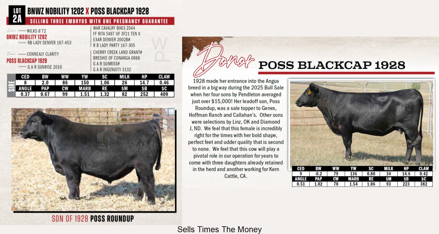 Lot 2a: Poss Angus - Online Genetics Sale | DVAuction