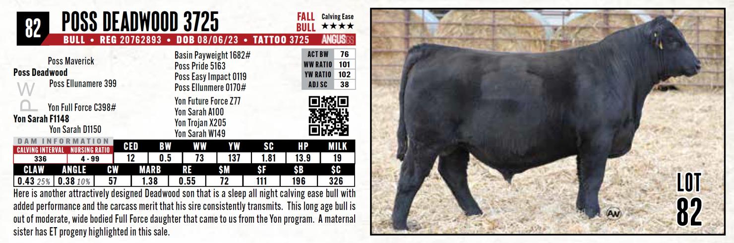 Lot 82: Poss Angus - Leading Edge Angus Genetics Bull Sale | DVAuction