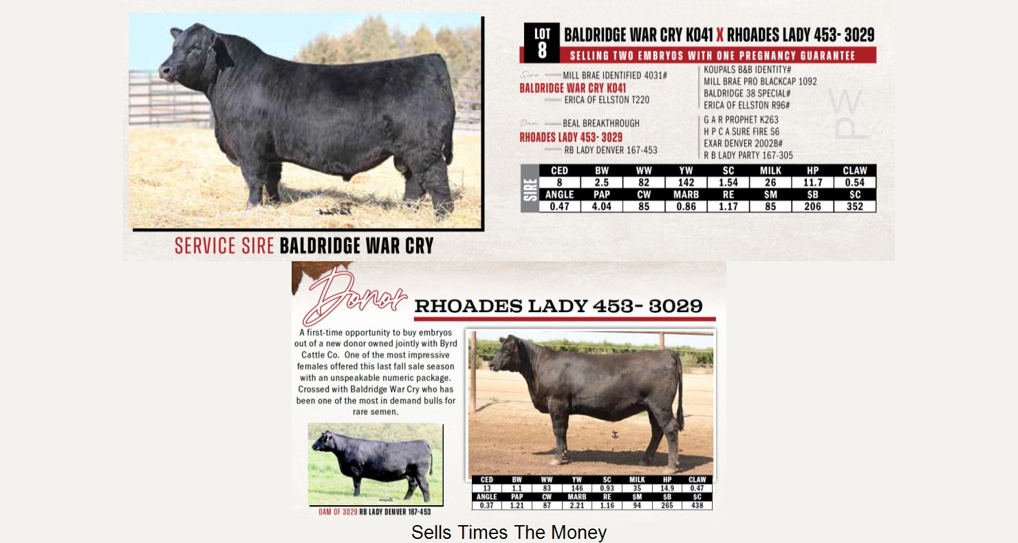 Lot 8: Poss Angus - Online Genetics Sale | DVAuction