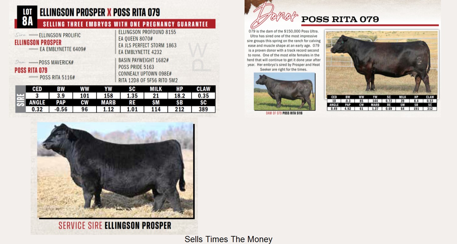 Lot 8a: Poss Angus - Online Genetics Sale | DVAuction