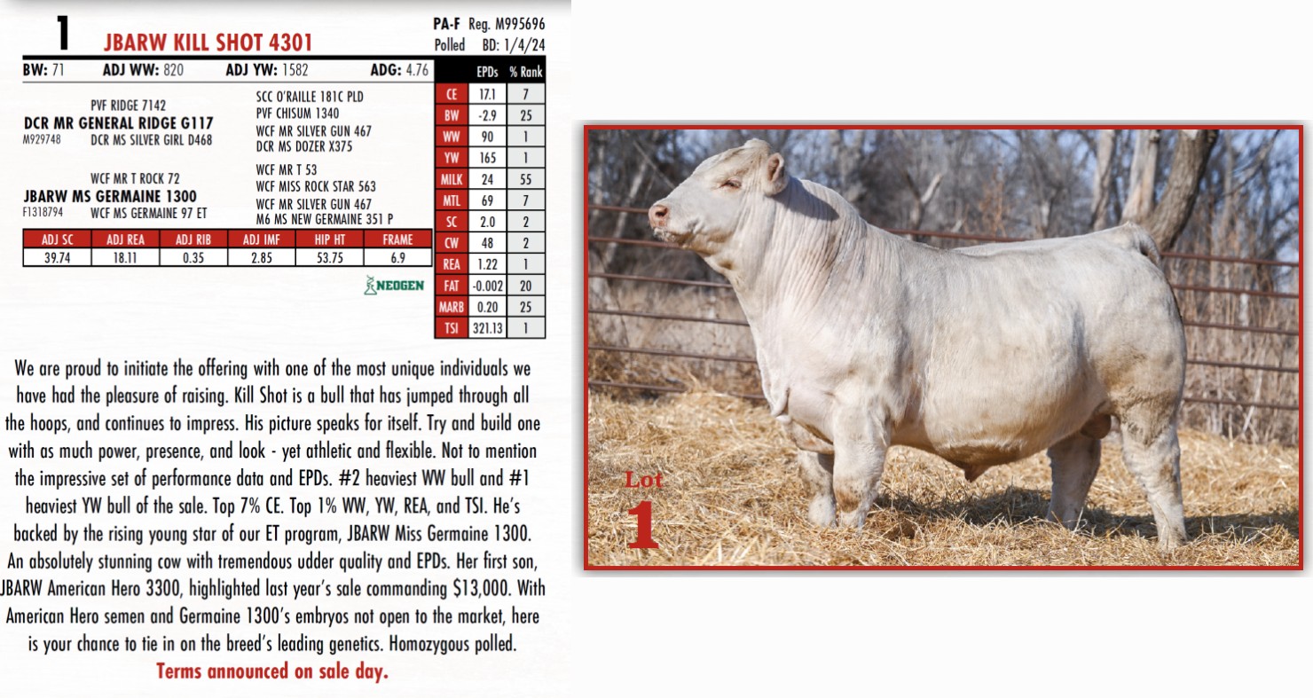 Lot 1: Weber Charolais & Red Angus - Annual Charolais & Red Angus Bull ...