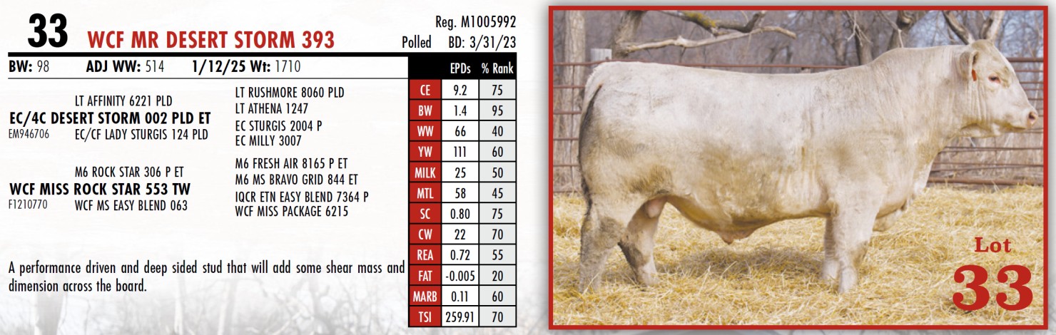 Lot 33: Weber Charolais & Red Angus - Annual Charolais & Red Angus Bull ...