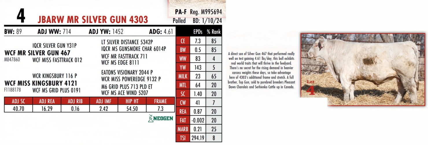 Lot 4: Weber Charolais & Red Angus - Annual Charolais & Red Angus Bull ...