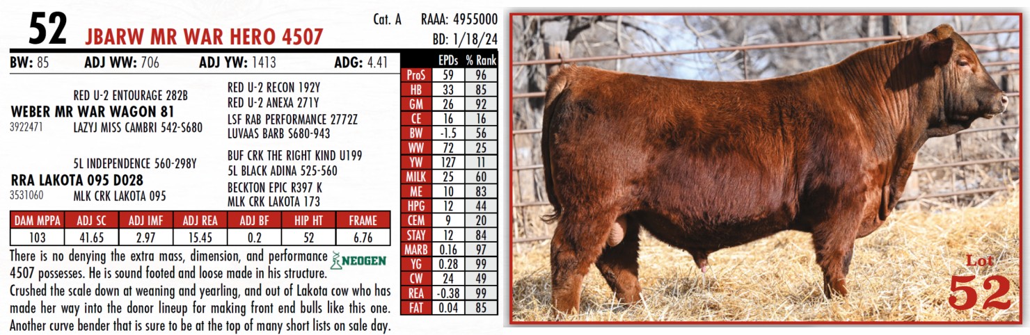 Lot 52: Weber Charolais & Red Angus - Annual Charolais & Red Angus Bull ...